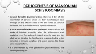 Platyhelminths- classification, morphology, life cycle and pathogenesis ...
