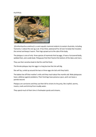 Platypus | PDF