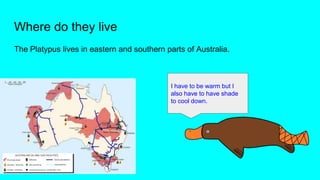 Platypus | PPTX