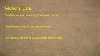 Platypus | PPTX