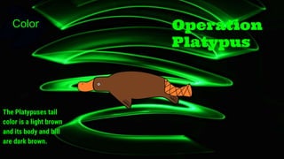 Platypus | PPTX