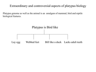 Platypus genome.ppt
