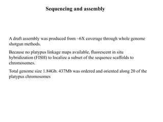 Platypus genome.ppt