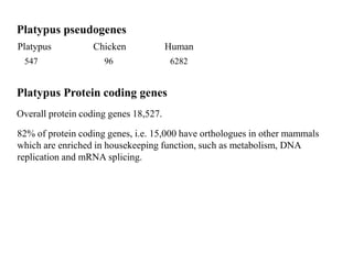 Platypus genome.ppt