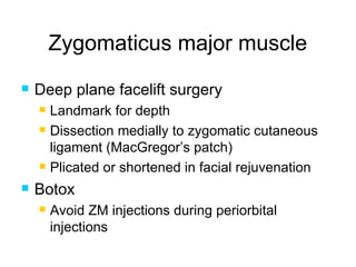 Facelift: Platysmal Muscular Suspension | PDF
