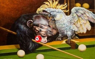 Animals playing billiards... | PPT