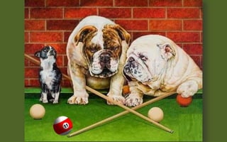 Animals playing billiards... | PPT