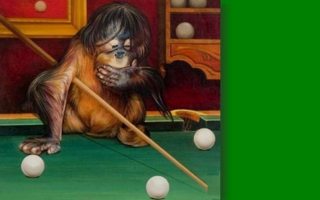 Animals playing billiards... | PPT