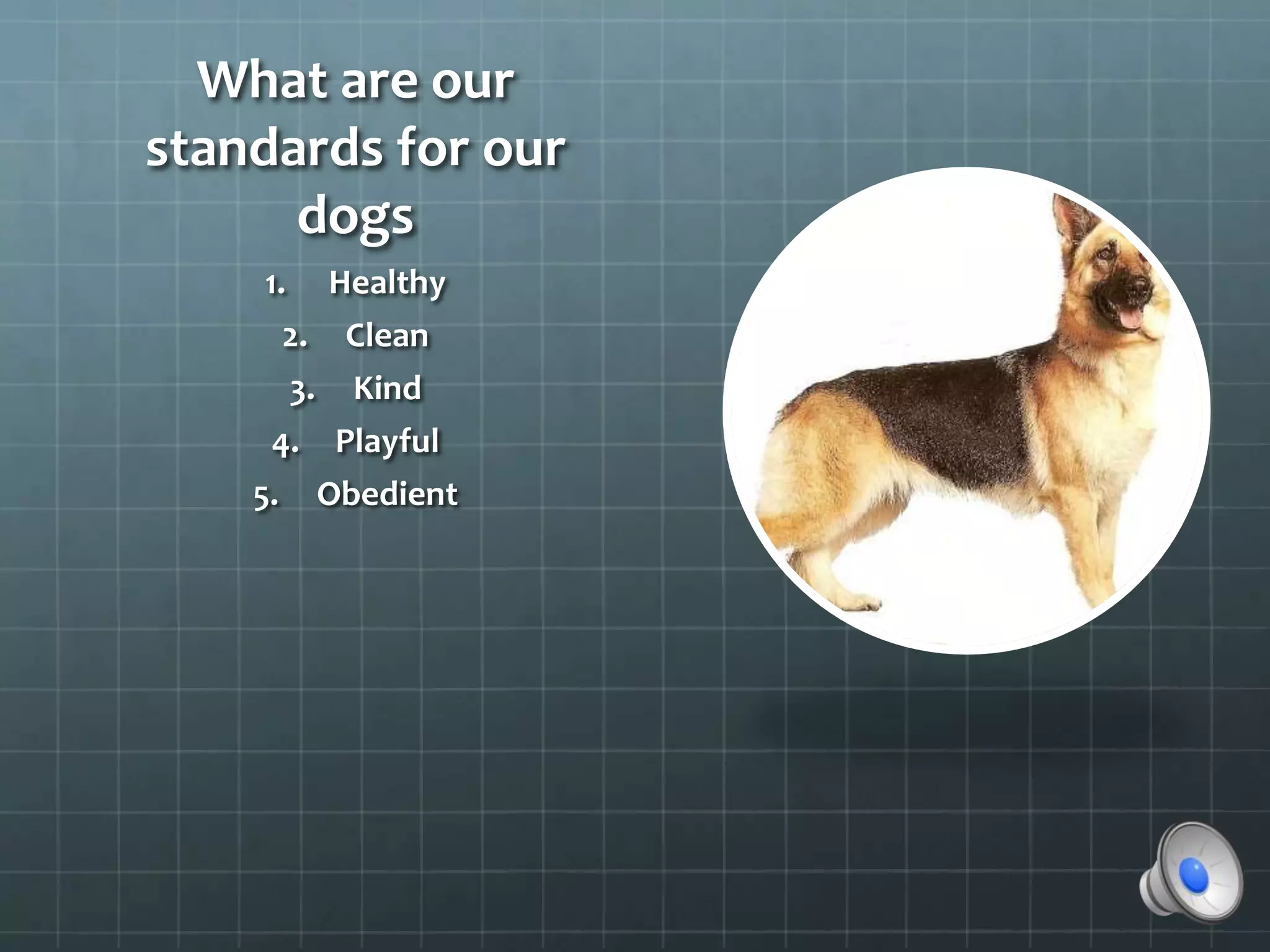 Play pets and co introduction | PPT