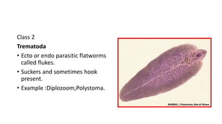 Playthehenmethis. | PPT