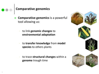 PLAZA 3.0 - an access point for plant comparative genomics | PPTX