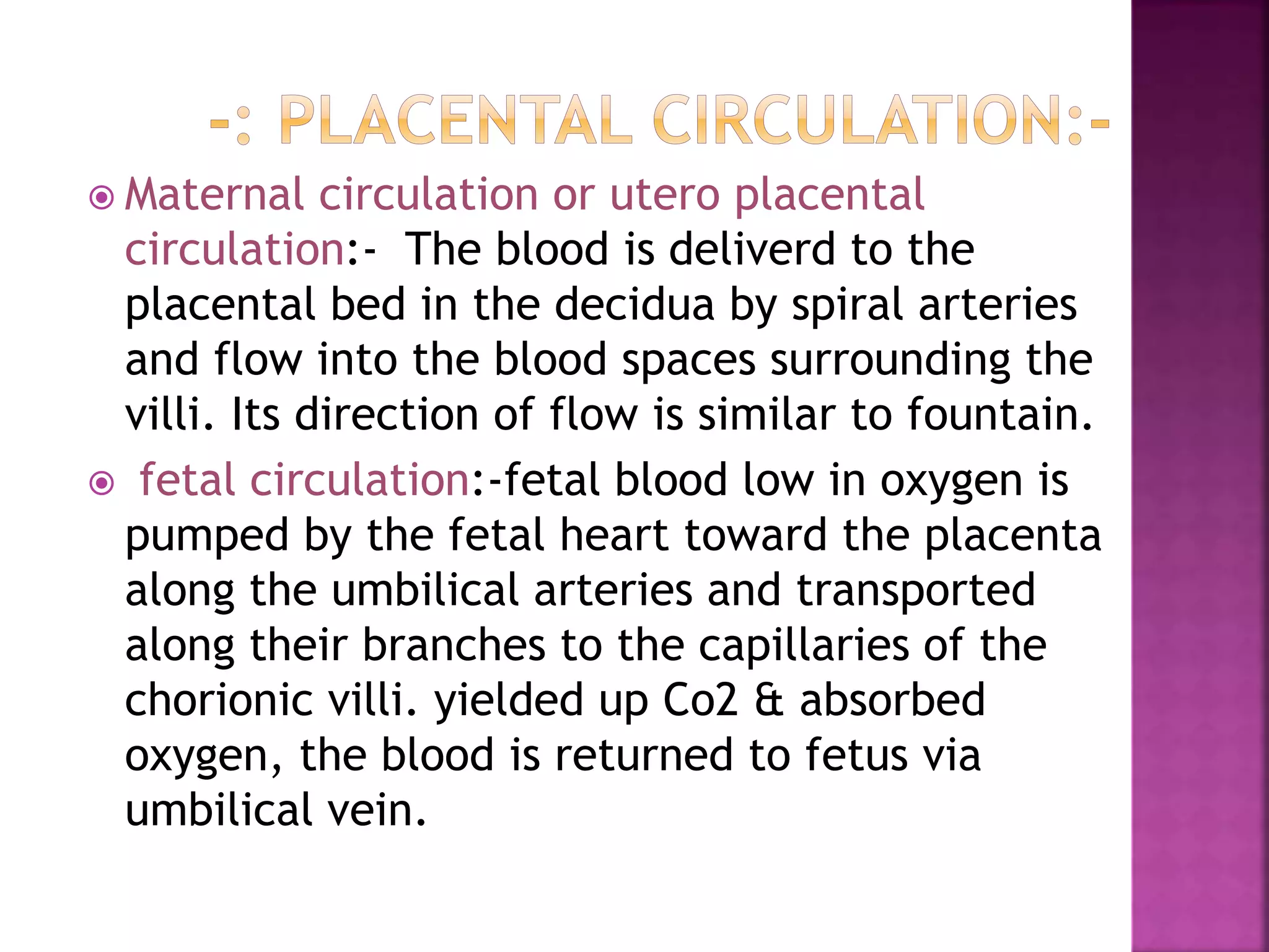 Placenta at term for nursing students | PPTX