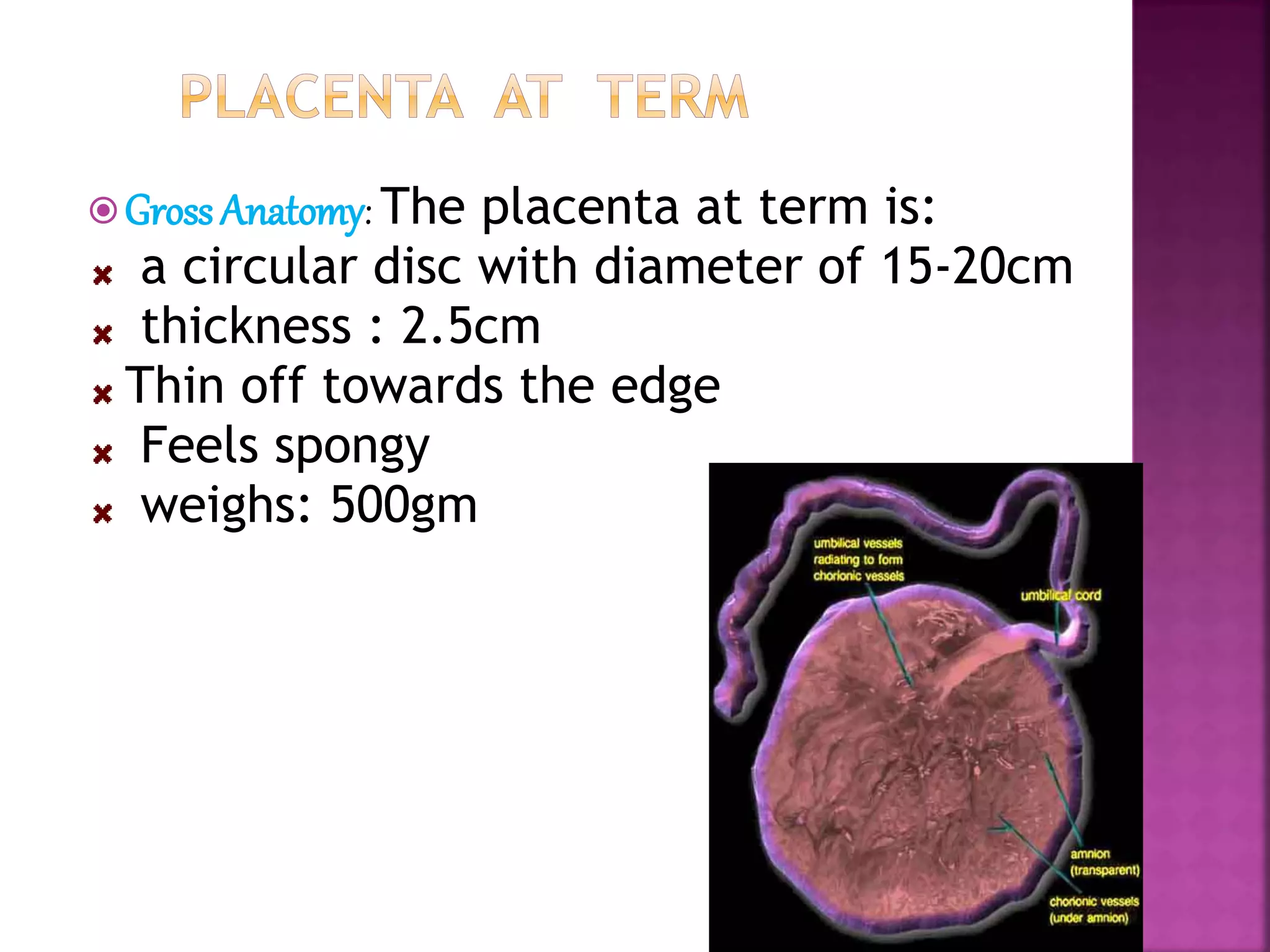 Placenta at term for nursing students | PPTX