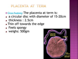 Placenta at term for nursing students | PPTX