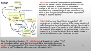 plcental hormone-3.ppt