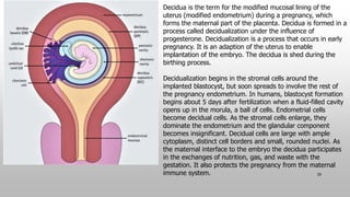 plcental hormone-3.ppt