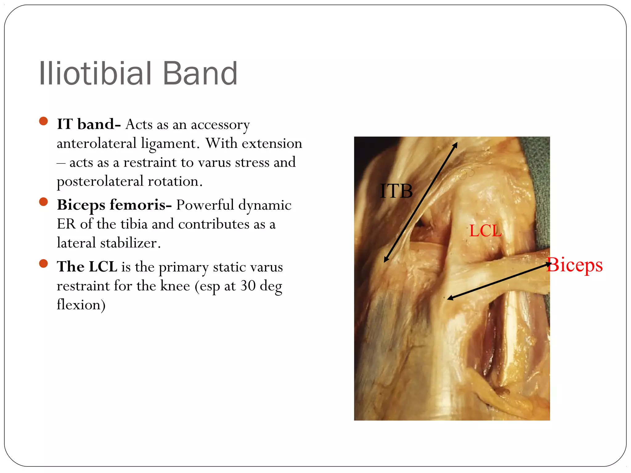 Posterolateral corner injuries of knee joint | PPT