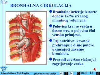 Plućna cirkulacija | PPT