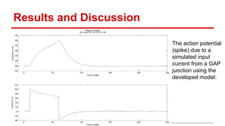 Modeling Stochasticity and Gap Junction Dynamics: Integrate and Fire Model | PPT