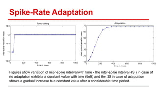 Modeling Stochasticity and Gap Junction Dynamics: Integrate and Fire Model | PPT
