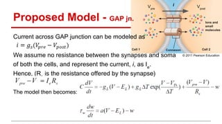Modeling Stochasticity and Gap Junction Dynamics: Integrate and Fire Model | PPT