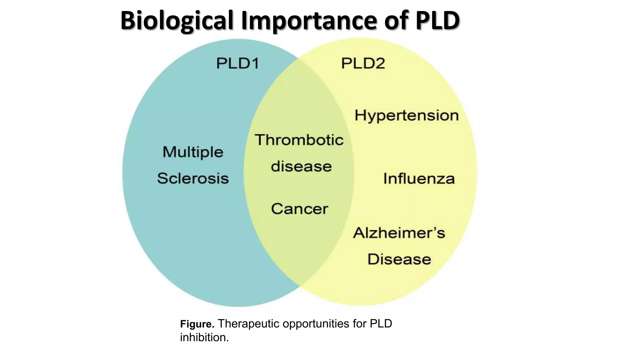Phospholipase D (PLD) | PPTX | Chemistry | Science