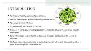 PLD.pptx is the plant disease detection ppt | PPT