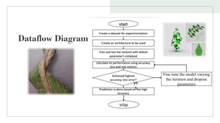 PLD.pptx is the plant disease detection ppt | PPT