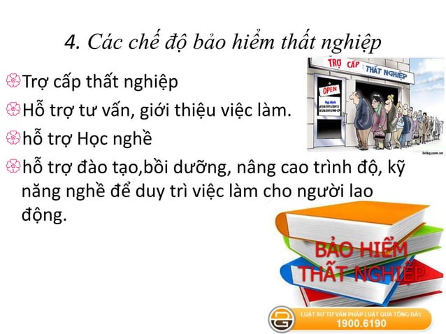 luat lao dong | PPT