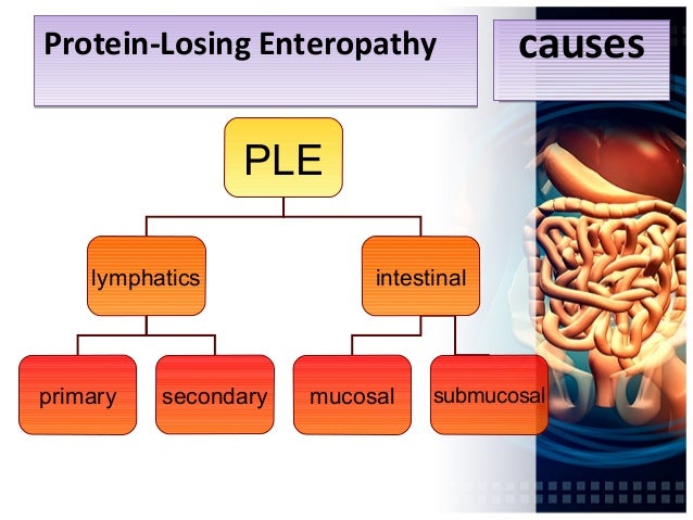 Protein Losing Enteropathy With Mucosal Erosion Proteinwalls
