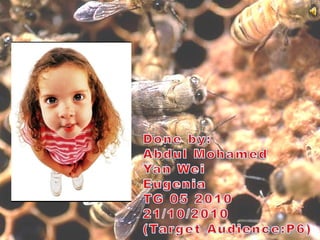 DSE Assignment | PPT