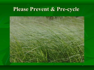 Please Pre-Cycle | PPT