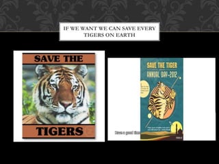 Please save tigers | PPTX