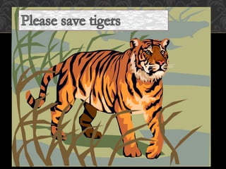 Please save tigers | PPTX