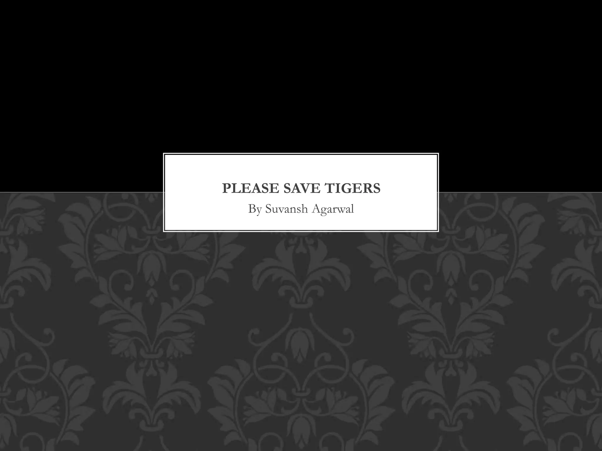 Please save tigers | PPTX
