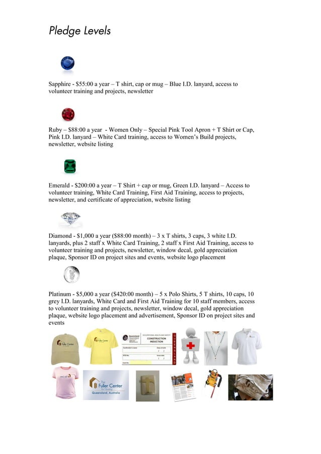 Pledge partner program r1 | PDF