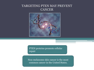 Pten Proteins - Molecualr Basis | PPT