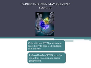 Pten Proteins - Molecualr Basis | PPT