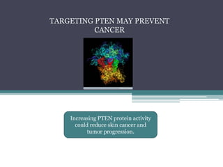 Pten Proteins - Molecualr Basis | PPT