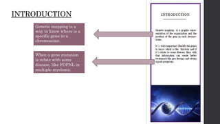 GENETIC MAPPING | PPT
