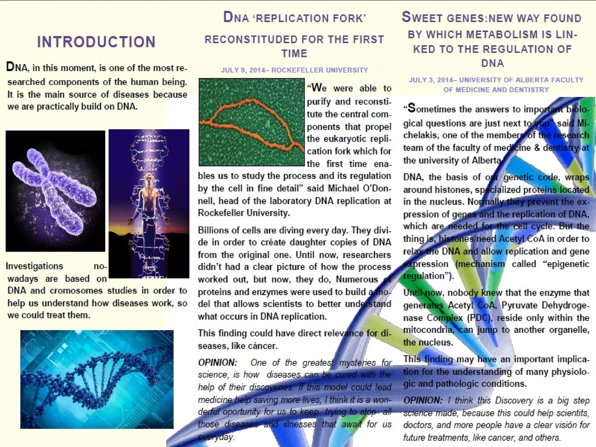 Replication Fork and Sweet Genes(Molecular Biology Folding) | PPT