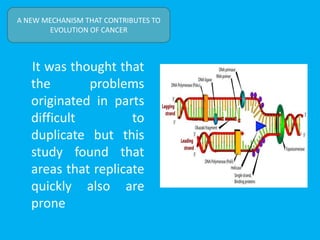 Fragile sites in the cancer | PPTX