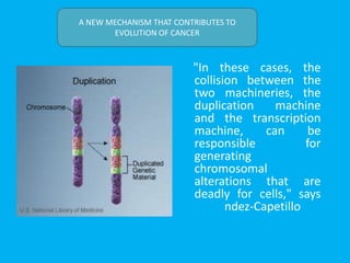 Fragile sites in the cancer | PPTX