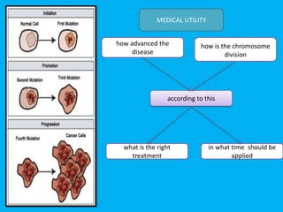 Fragile sites in the cancer | PPTX