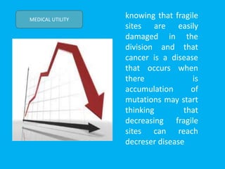 Fragile sites in the cancer | PPTX