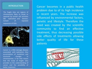 Fragile sites in the cancer | PPTX