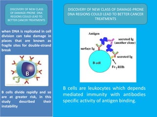Fragile sites in the cancer | PPTX