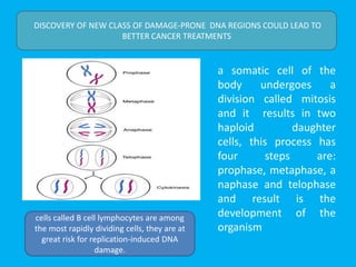 Fragile sites in the cancer | PPTX