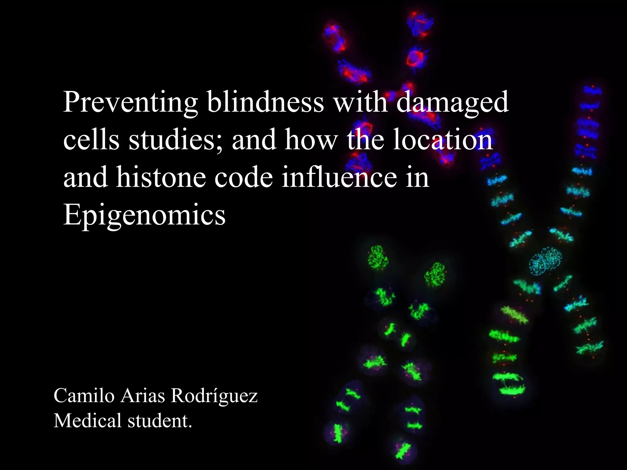 Preventing blindness with damaged cells studies; and how the location ...