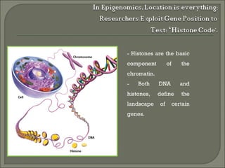 Preventing blindness with damaged cells studies; and how the location ...